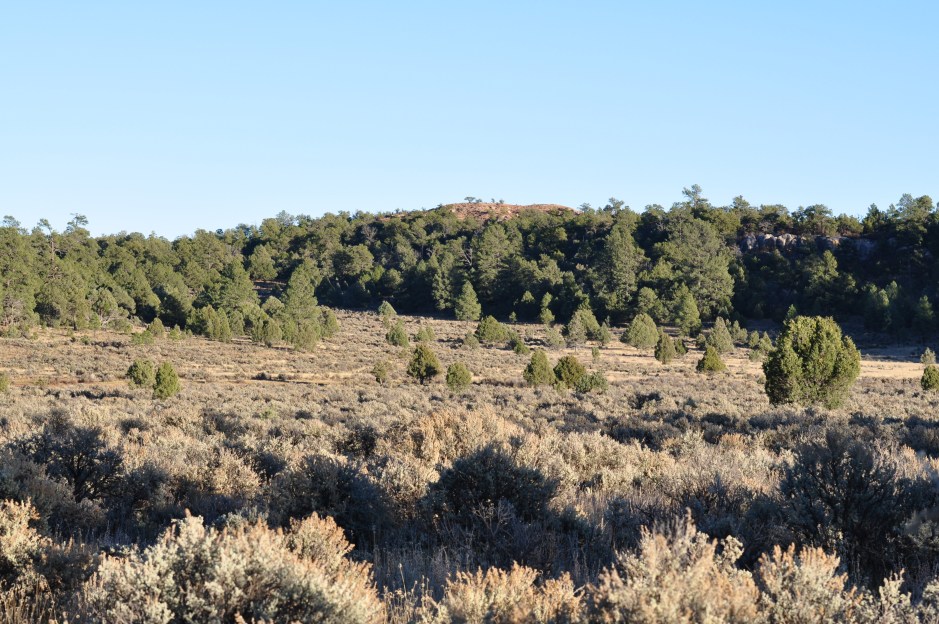 New Mexico Mule Deer Hunt in Unit 5B | THE REAL OUTDOORSMAN